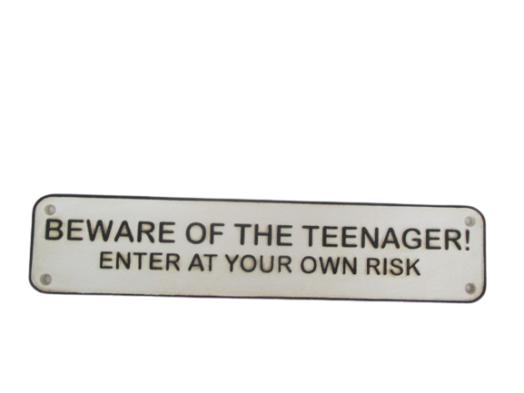 Beware of The Teenager Plaque – Stanley Art Foundry
